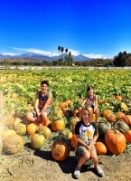 Pumpkin Fest at the Cal Poly Pumpkin Patch 2025 - Popsicle Blog