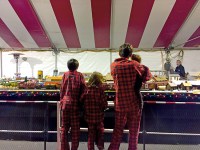 The Orange Empire Railway Museum Train to Santa's Workshop - Popsicle Blog