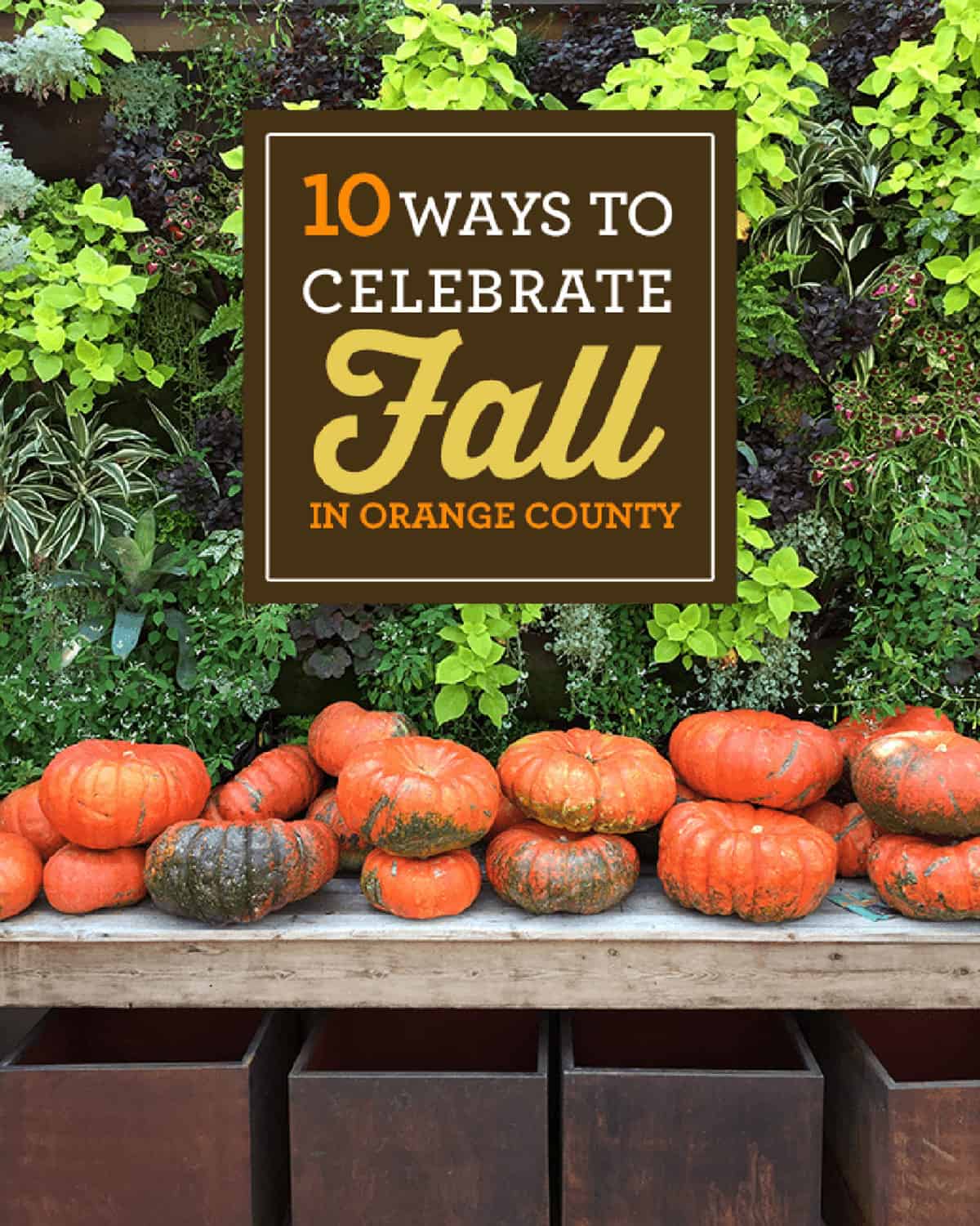 10 Ways to Celebrate Fall in Orange County - Popsicle Blog