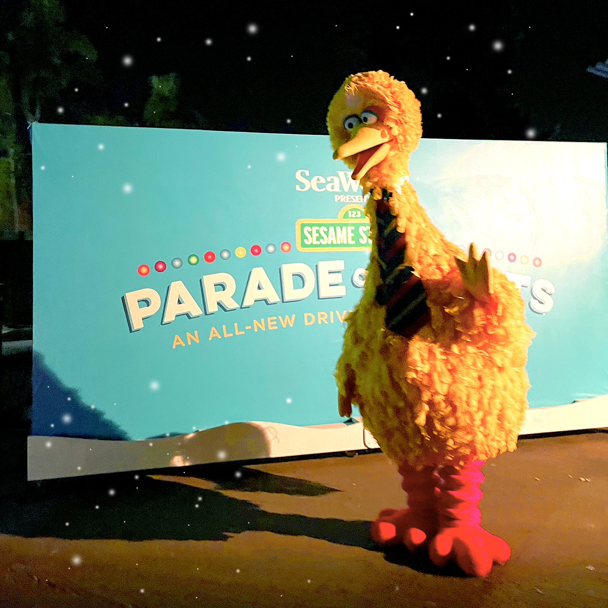 Sesame Street Parade of Lights Drive-Thru at SeaWorld - Popsicle Blog
