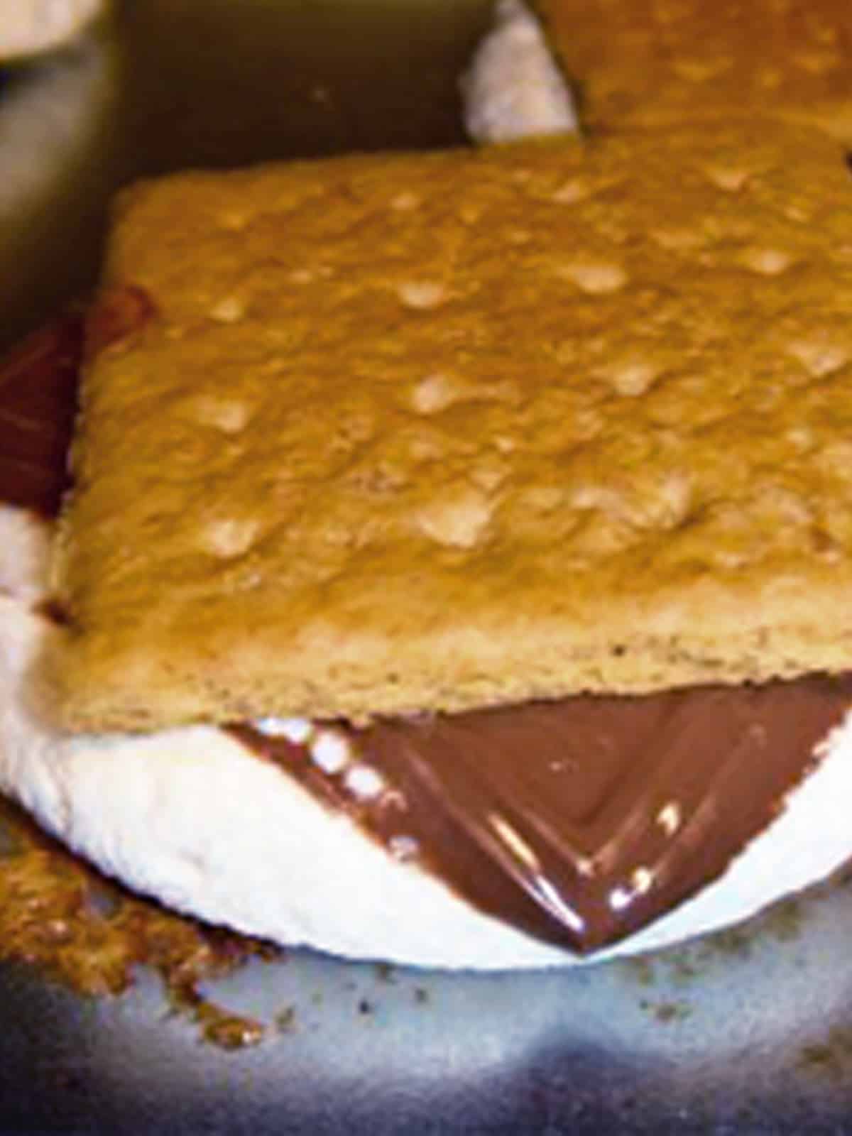 How to Make Indoor S'mores - Popsicle Blog