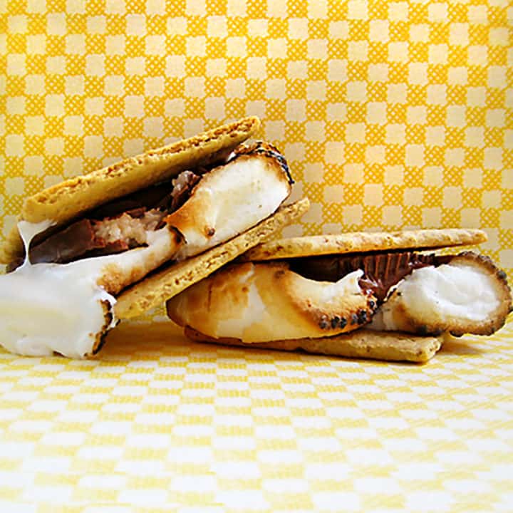 Smores - Popsicle Blog
