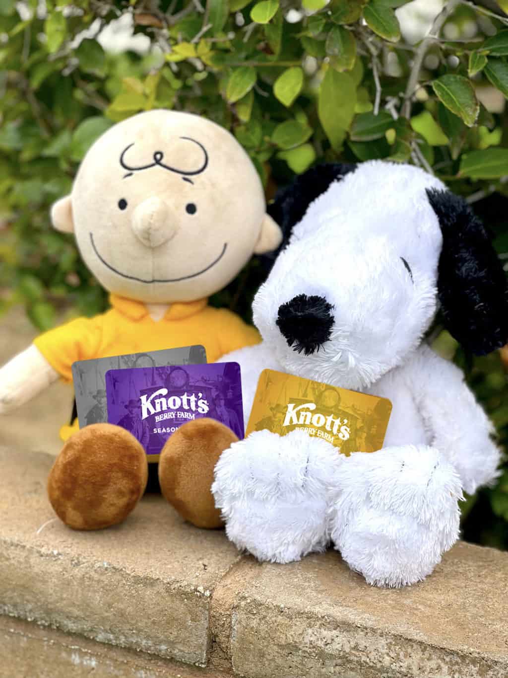 Knott's Berry Farm Season Pass Deals [2024] - Popsicle Blog