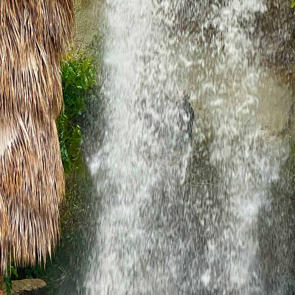 The Secret Dana Point Waterfall - Popsicle Blog