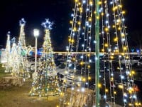 The Dana Point Harbor Lights: Everything you need to know! - Popsicle Blog
