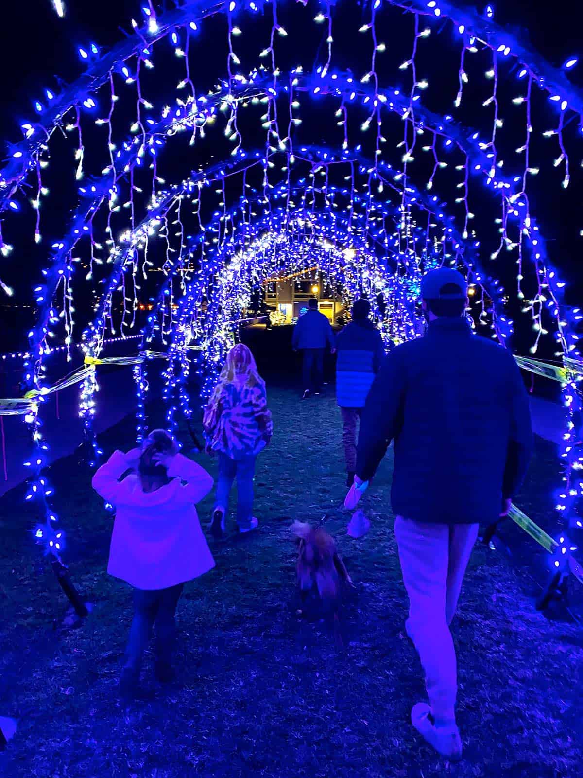 The Dana Point Harbor Lights: Everything you need to know! - Popsicle Blog