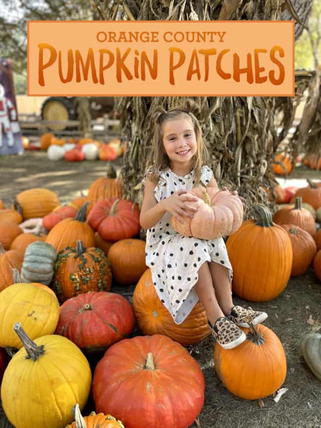 15 Pumpkin Patches in Orange County [2025] - Popsicle Blog