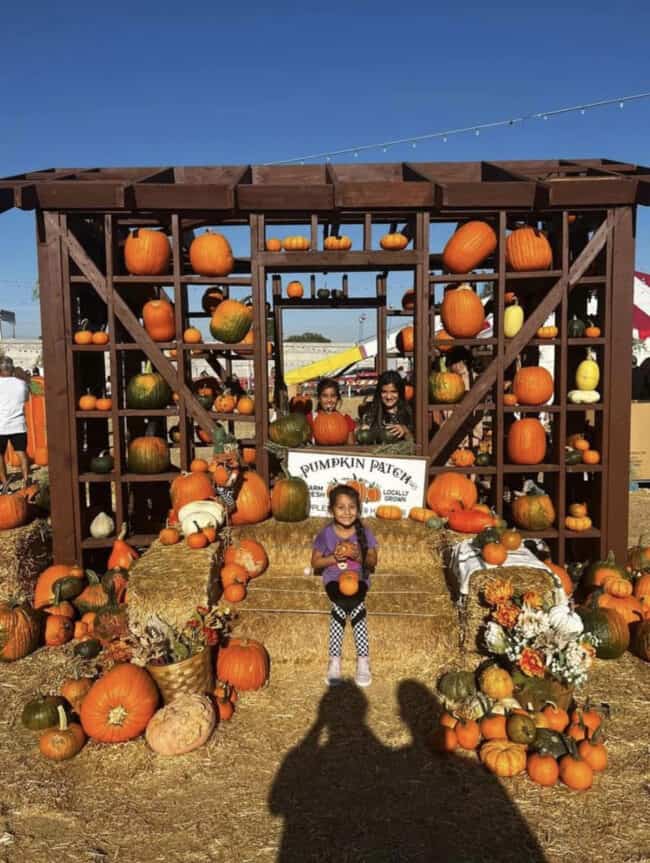 15 Pumpkin Patches in Orange County [2025] - Popsicle Blog