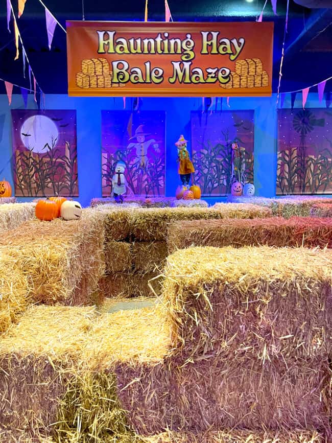Pumpkin Palooza at Discovery Cube Orange County: Is it Worth it ...
