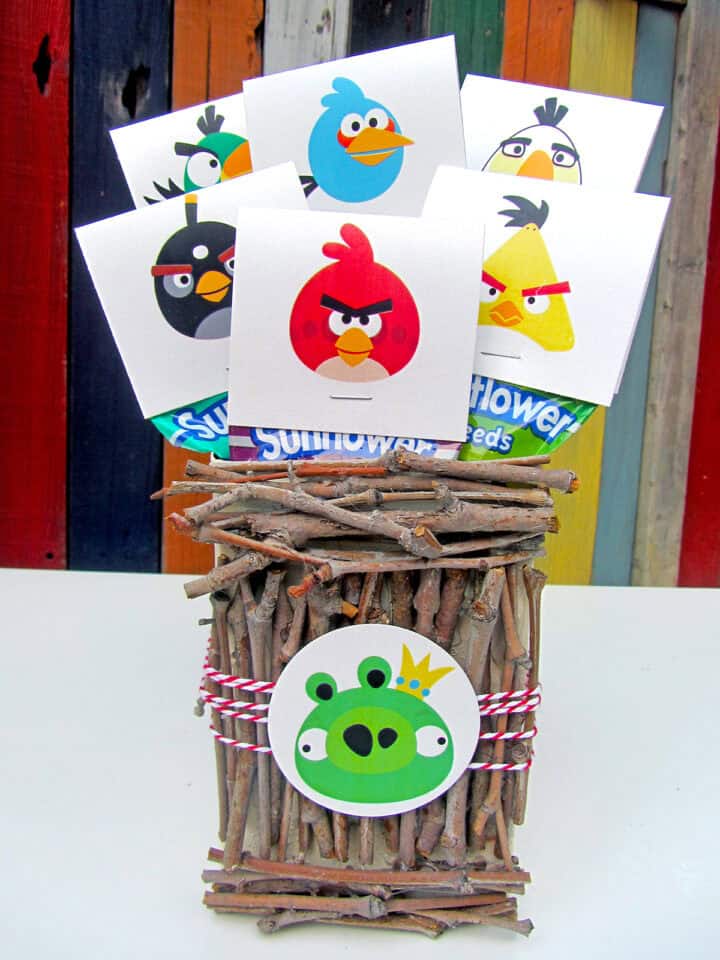 Angry Birds Father's Day Gift with Free Printable - Popsicle Blog