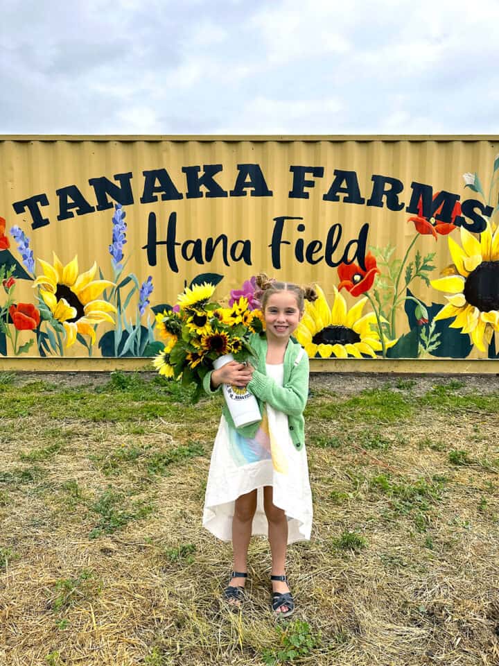 U-Pick Sunflowers at Hana Field in Costa Mesa - Popsicle Blog
