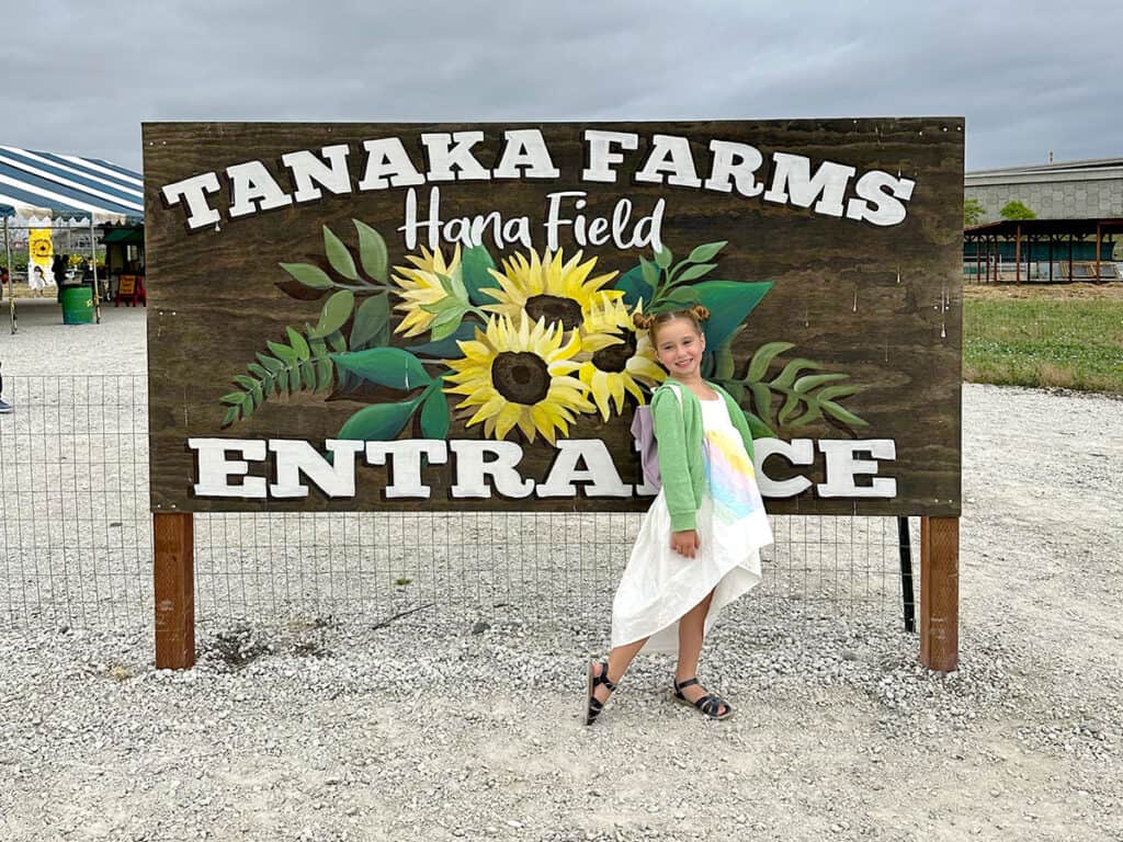 U-Pick Sunflowers at Hana Field in Costa Mesa - Popsicle Blog